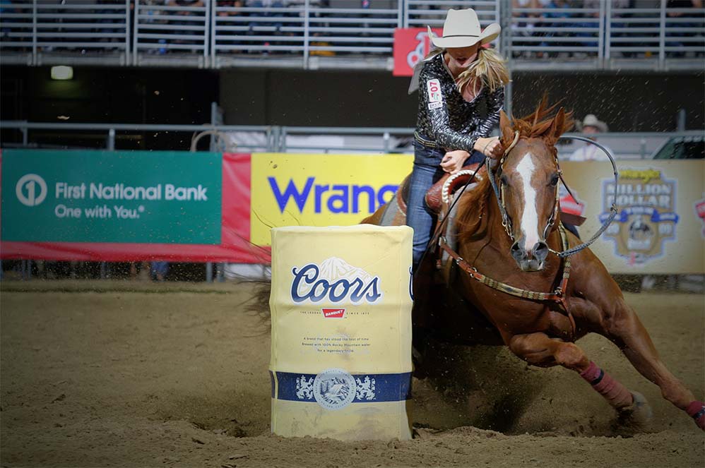 Equine Handling Equipment – Butterfield Ranch & Supply